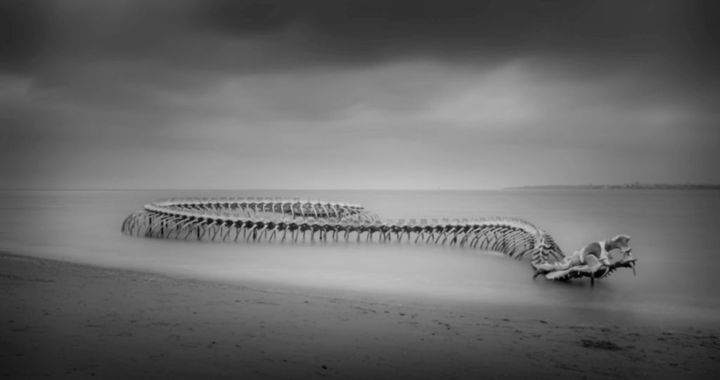 Saint-Nazaire : ce serpent de 130 m de long fascine toujours autant les ...