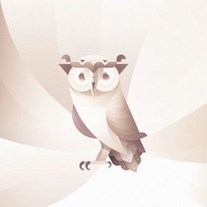 Cette graphiste illustre des animaux à partir de formes géométriques ...
