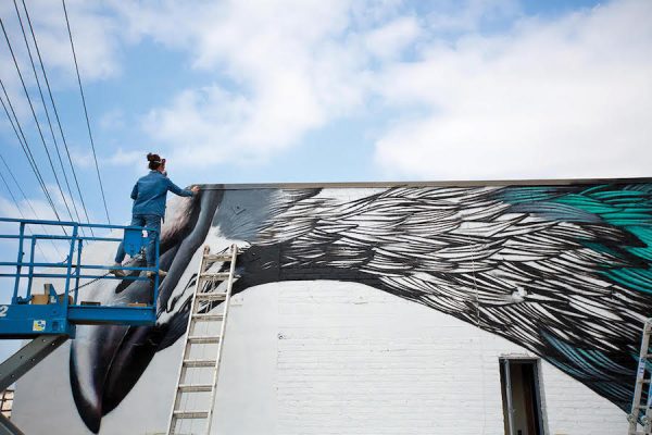 Elle graffe d'immenses pigeons dans les rues pour rendre hommage à leur ...