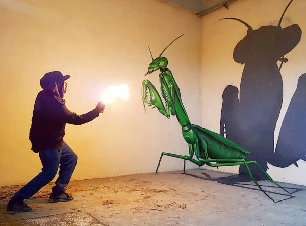 Ce graffeur crée des insectes géants qui semblent prendre vie grâce à l ...