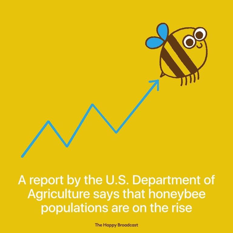 Fatigué de l'actualité négative, il illustre les actions positives ...