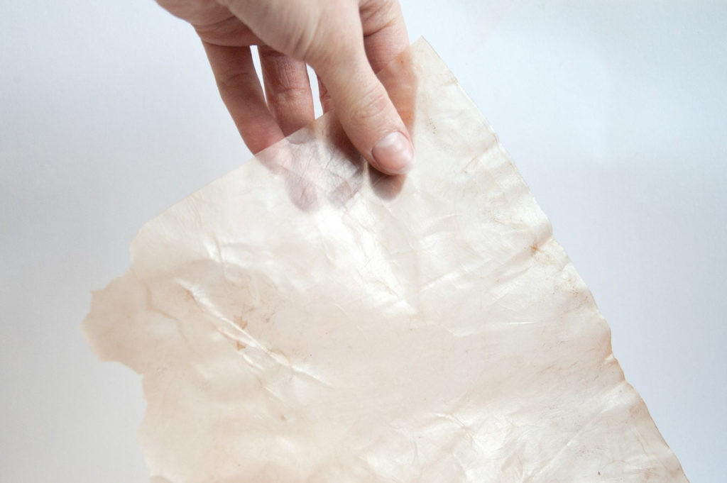 Elle crée des emballages alimentaires 100% biodégradables avec les ...