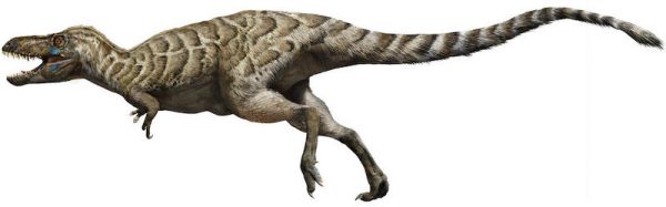 Le Museum d'Histoire naturelle de New York dévoile à quoi ressemblait ...