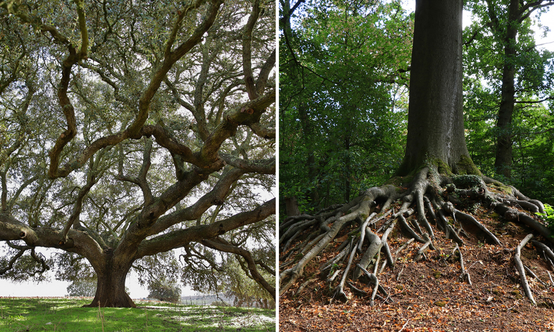 Ces étudiants veulent recycler les chewing-gums en roues de skateboard