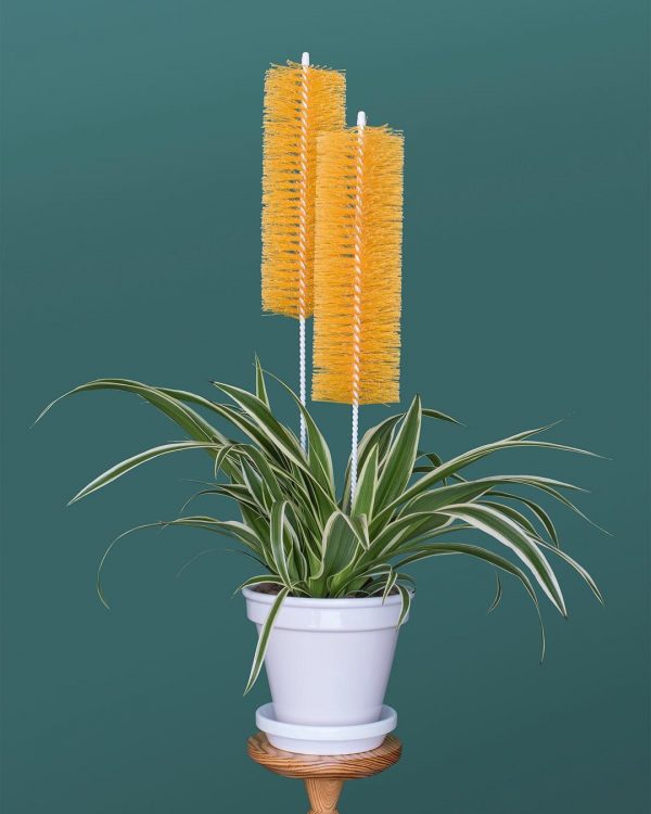 Ces objets inutilisables offrent un savoureux mélange d’art et d ...