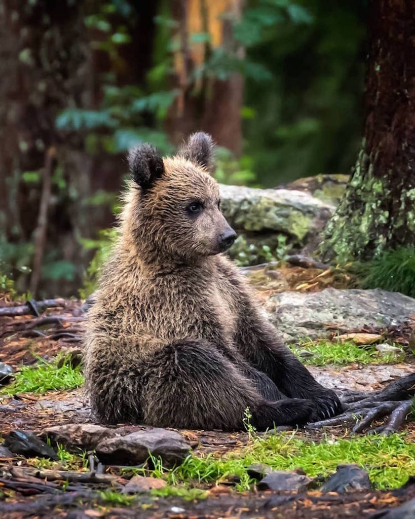 Ce photographe de 22 ans capture d'adorables portraits intimistes d ...