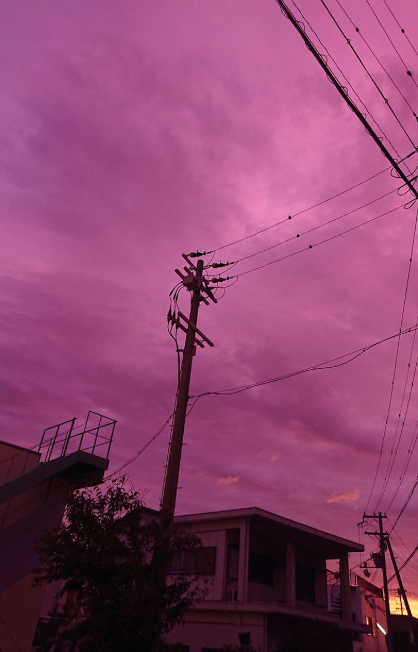 Japon : des photographes amateurs capturent l'incroyable ciel violet ...