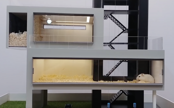 Cet architecte s'amuse à concevoir des mini villas de luxe pour son hamster