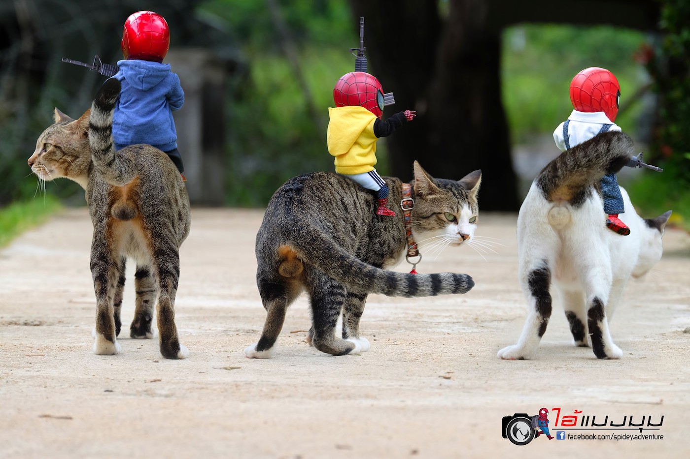 À l'aide de sa figurine Spider-Man, ce photographe crée des mises en ...