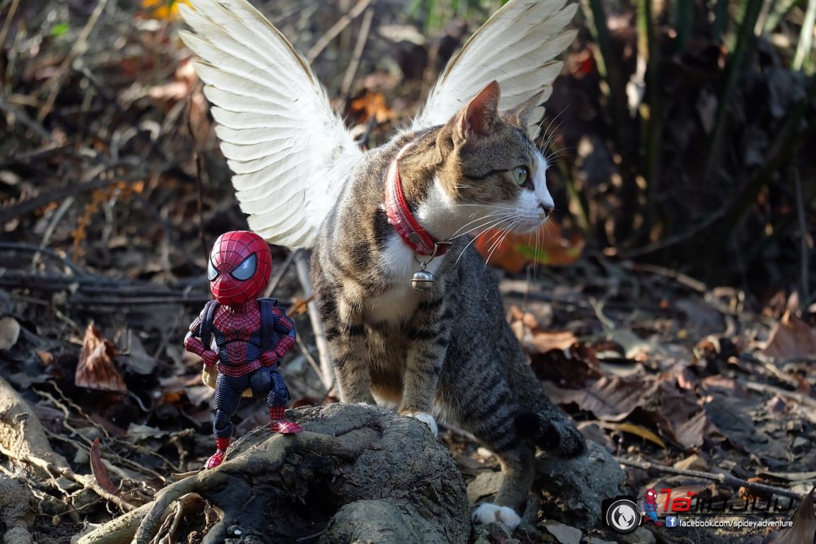 À l'aide de sa figurine Spider-Man, ce photographe crée des mises en ...