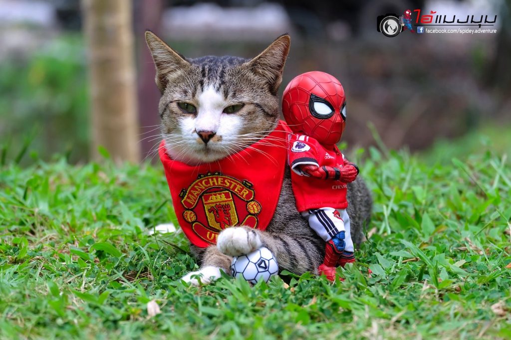 À l'aide de sa figurine Spider-Man, ce photographe crée des mises en ...