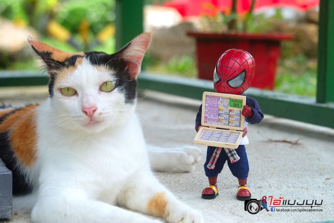 À l'aide de sa figurine Spider-Man, ce photographe crée des mises en ...