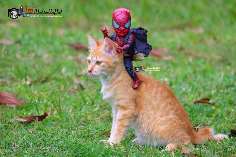 À l'aide de sa figurine Spider-Man, ce photographe crée des mises en ...
