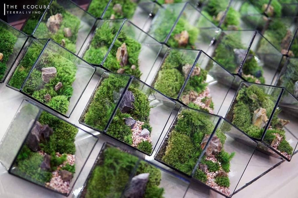 Ces terrariums design inspirés de la nature cachent des mini ...