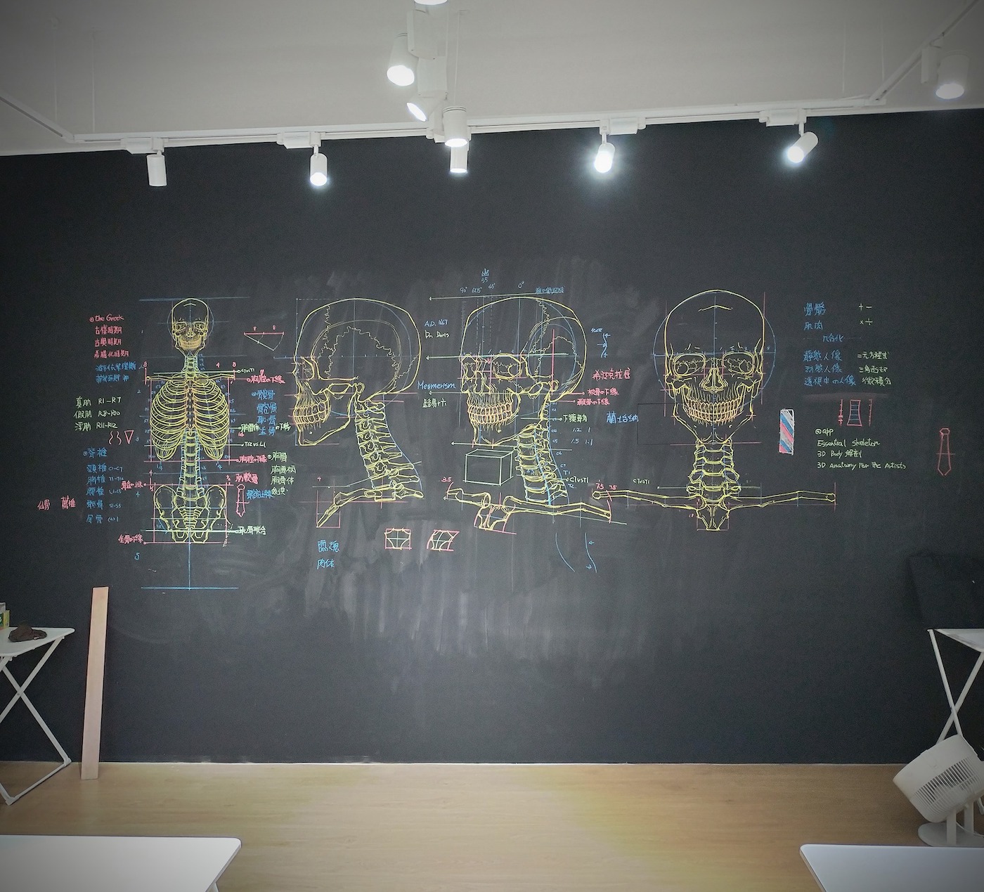 Ce prof d'anatomie réalise des dessins incroyablement détaillés à la ...