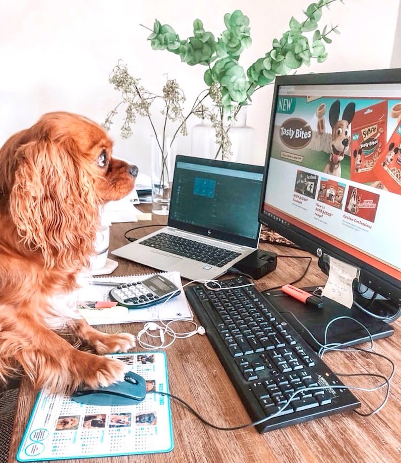 Confinement : ce compte Instagram compile les meilleures photos de ...