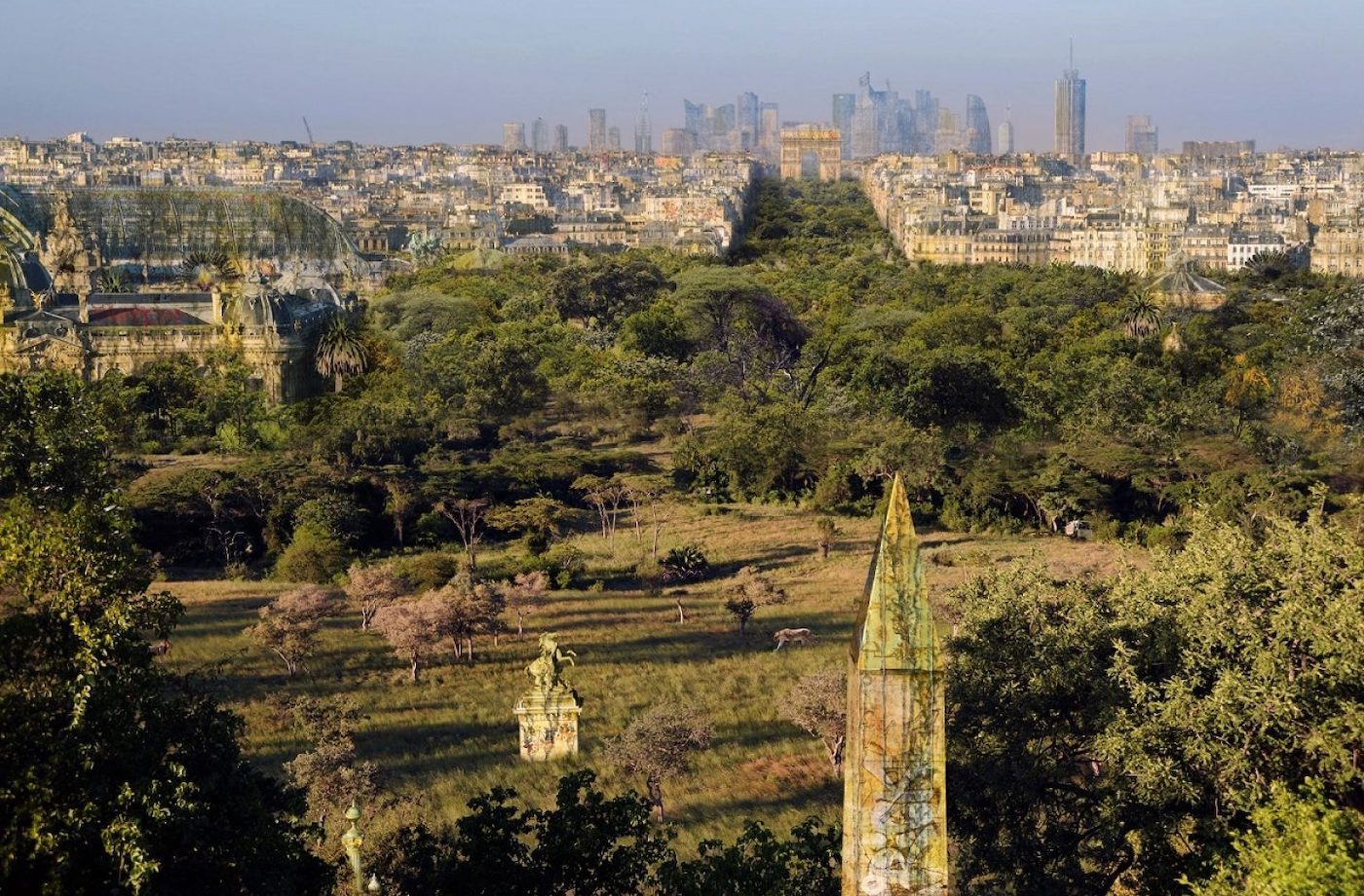 L'artiste Chris Morin-Eitner imagine Paris en véritable jungle ...