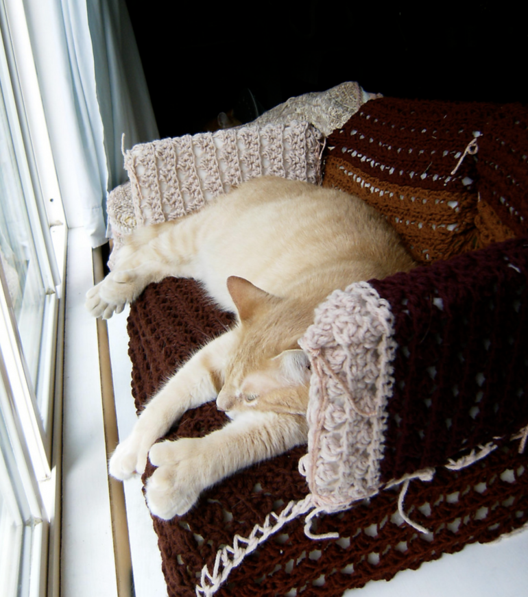 Des canapés pour chats à réaliser en crochet pendant le confinement