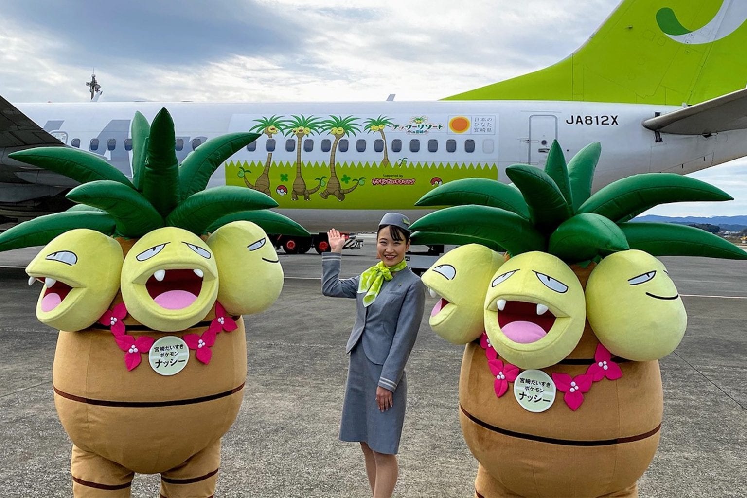 Au Japon, une compagnie aérienne dévoile un avion aux couleurs d'un ...
