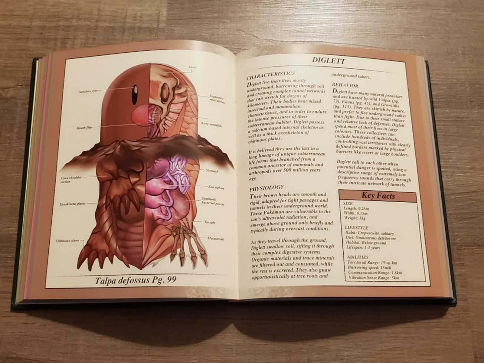 Pokénatomy Un Livre Insolite Qui Présente L Anatomie Détaillée De 151