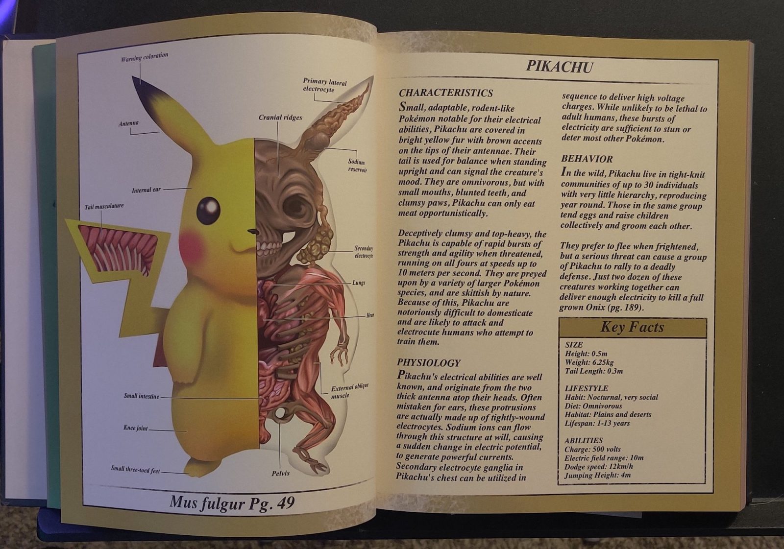 PokéNatomy : un livre insolite qui présente l'anatomie détaillée de 151 ...