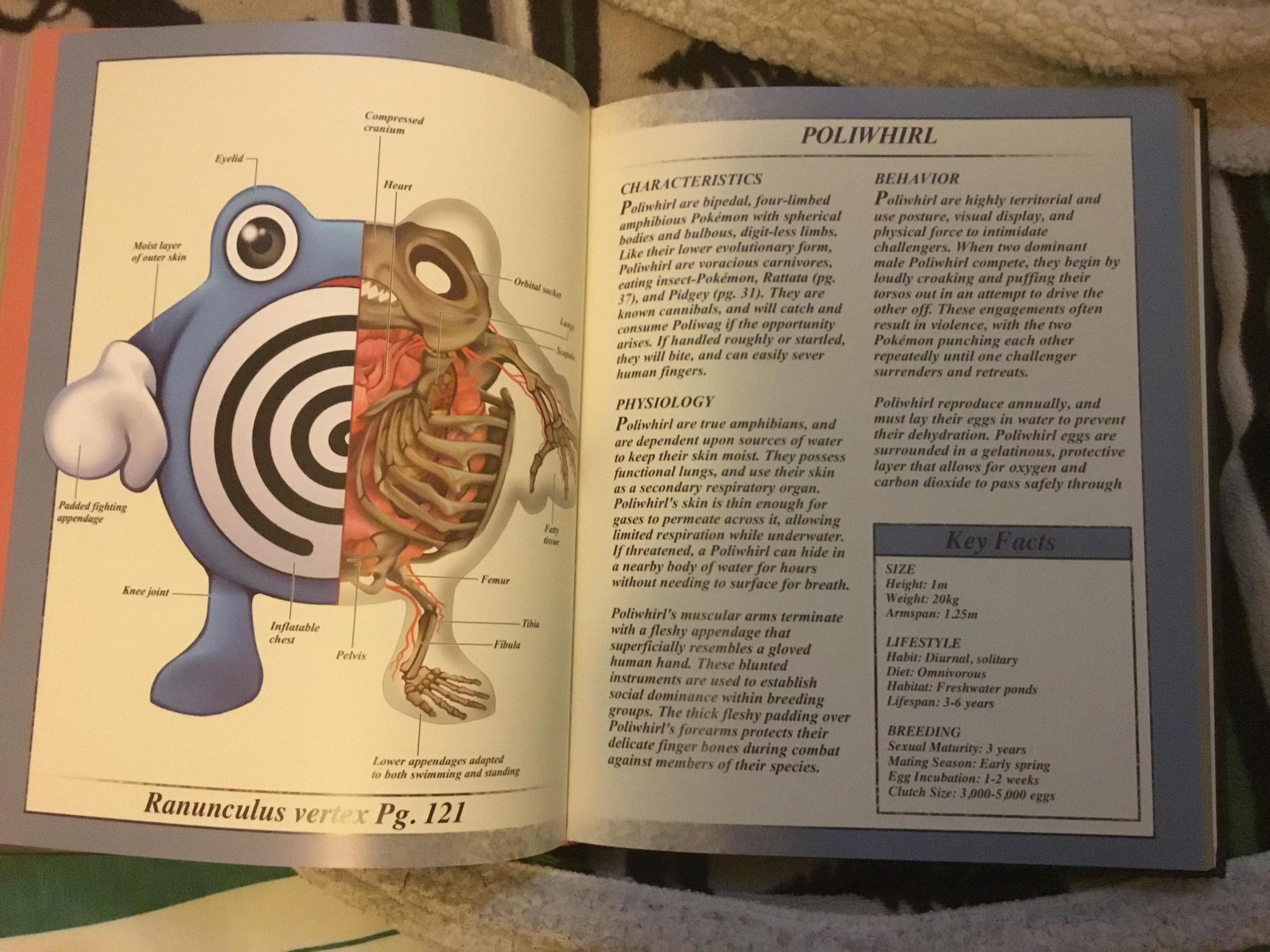 PokéNatomy : un livre insolite qui présente l'anatomie détaillée de 151 ...