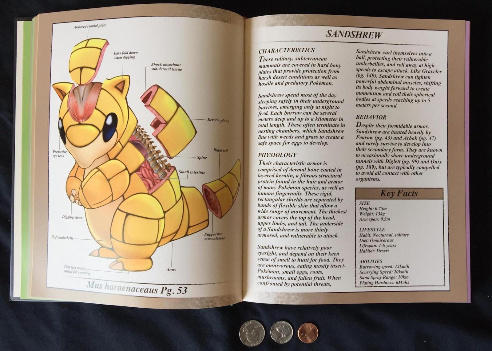 PokéNatomy : un livre insolite qui présente l'anatomie détaillée de 151 ...