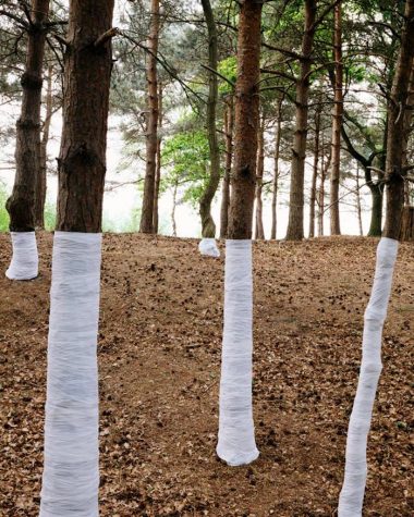 Zander Olsen joue avec la ligne d'horizon et les arbres pour des photos ...