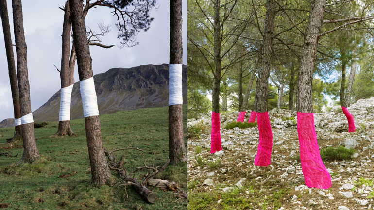 Zander Olsen joue avec la ligne d'horizon et les arbres pour des photos ...