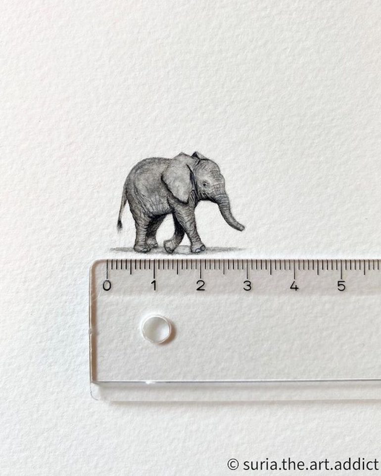 Les adorables aquarelles miniatures (et millimétrées) de Suria Prabha ...