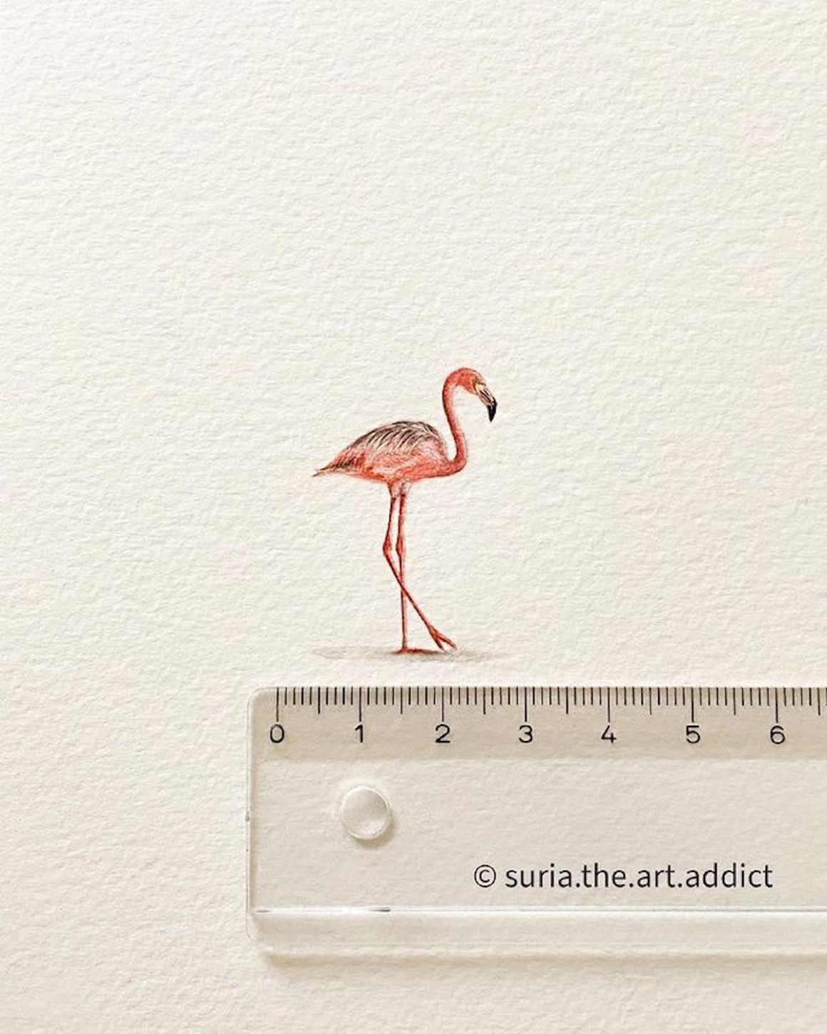 Les adorables aquarelles miniatures (et millimétrées) de Suria Prabha