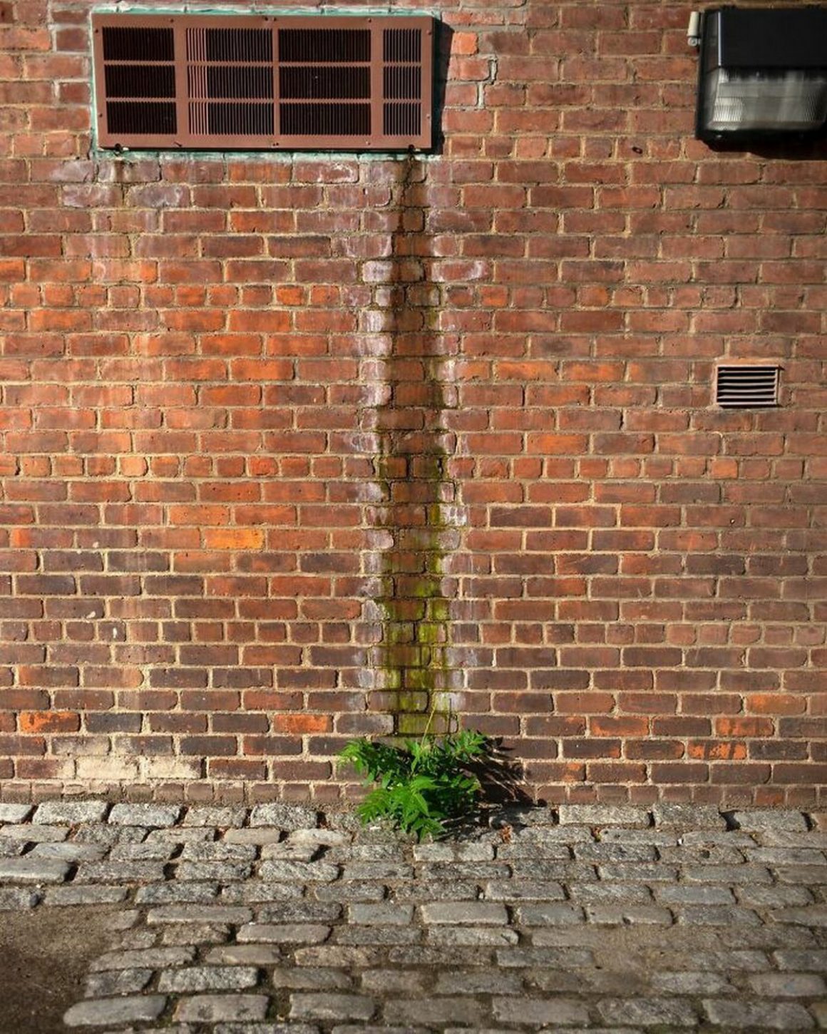 Le photographe Eric Kogan capture des hasards chanceux dans les rues de ...