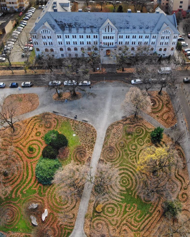 L'artiste Nikola Faller organise les feuilles mortes avec une géométrie ...