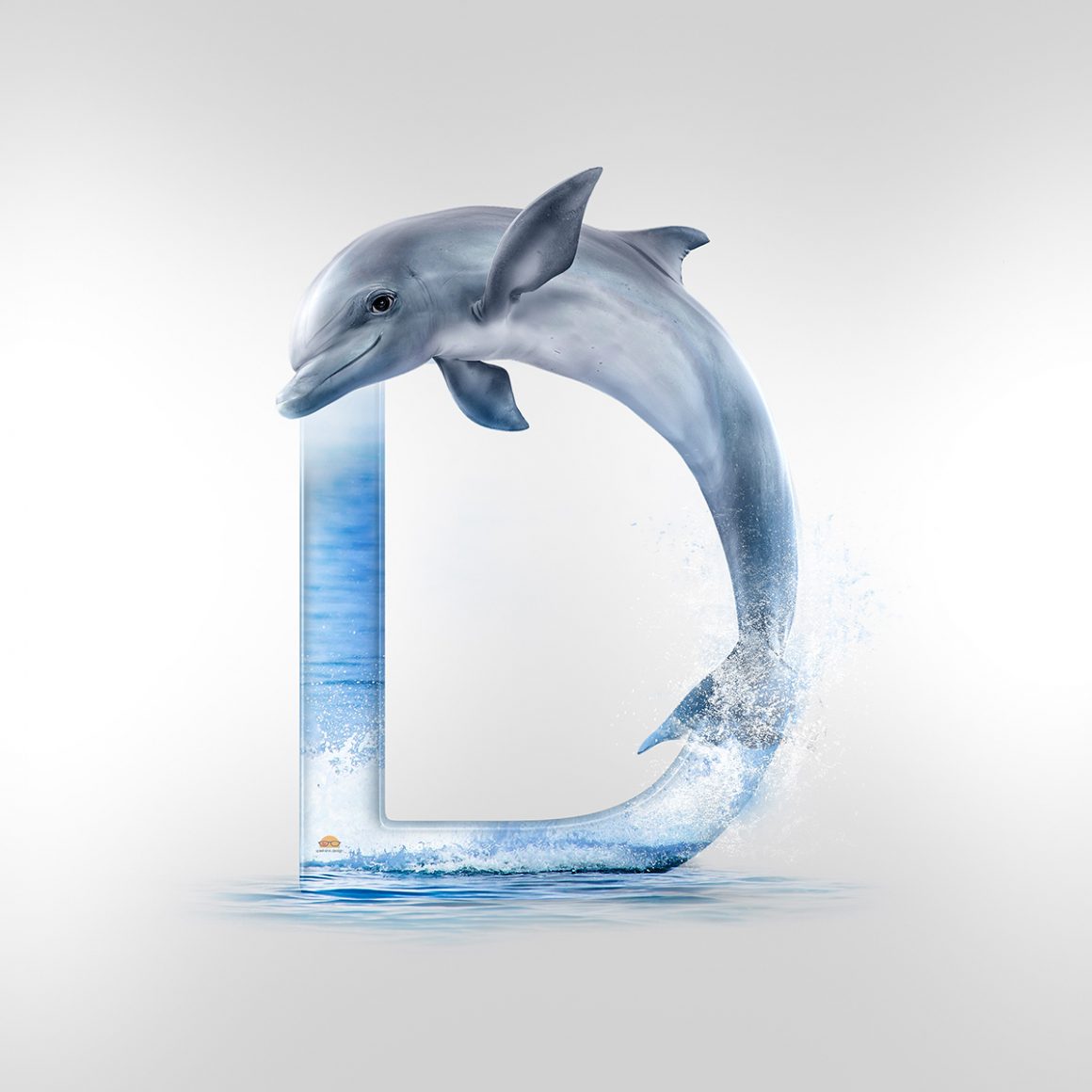 Alphanimal : le superbe alphabet animal du créatif Ingo Lindmeier ...