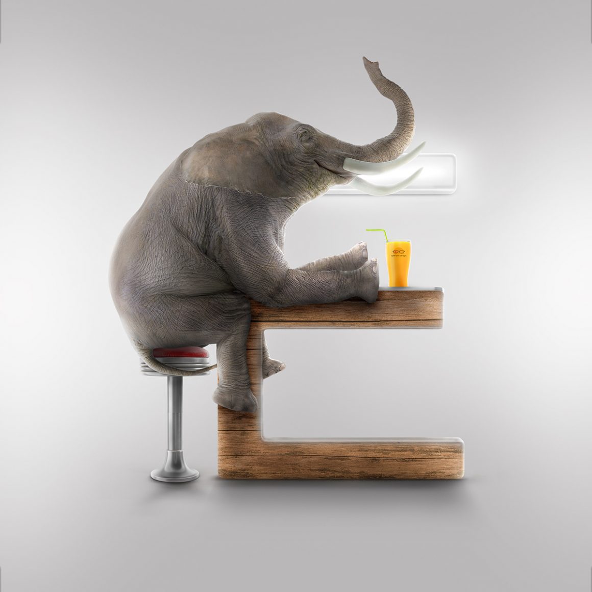 Alphanimal : le superbe alphabet animal du créatif Ingo Lindmeier