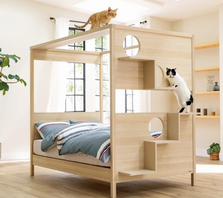 Un lit original dont la structure offre un terrain de jeux pour votre ...