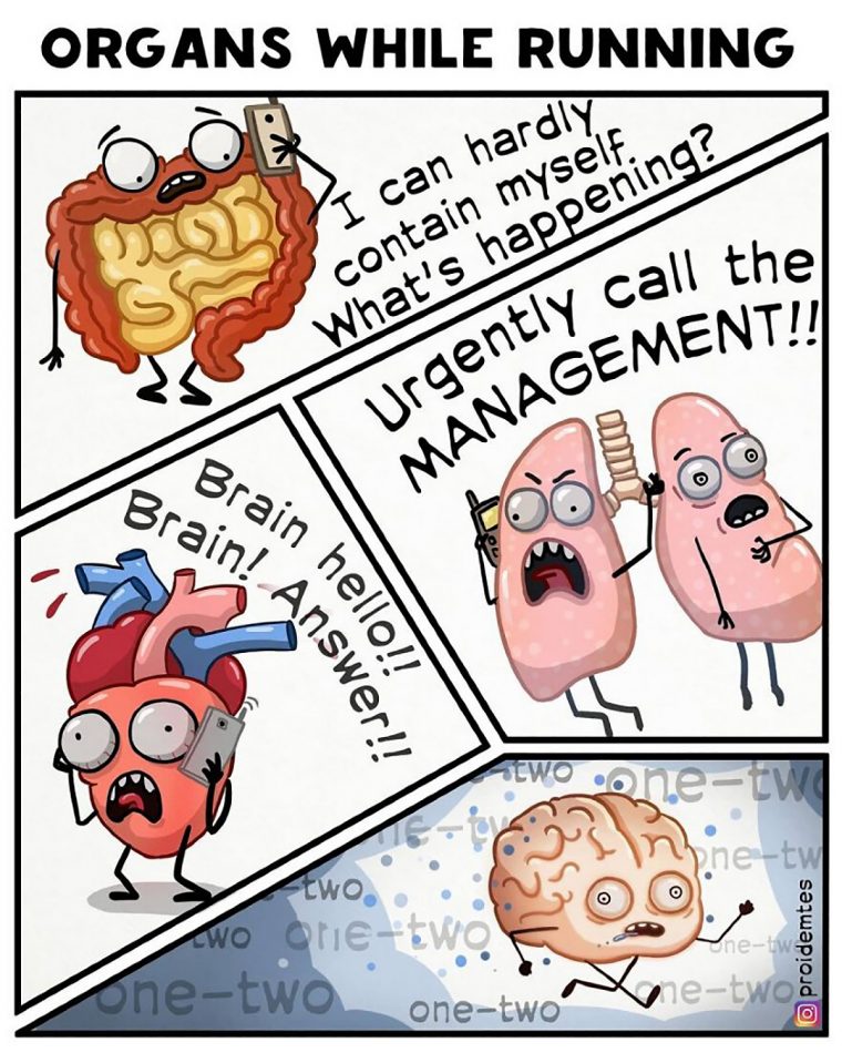 20 mini BD humoristiques pleines de sarcasme de l'illustrateur Proidemtes