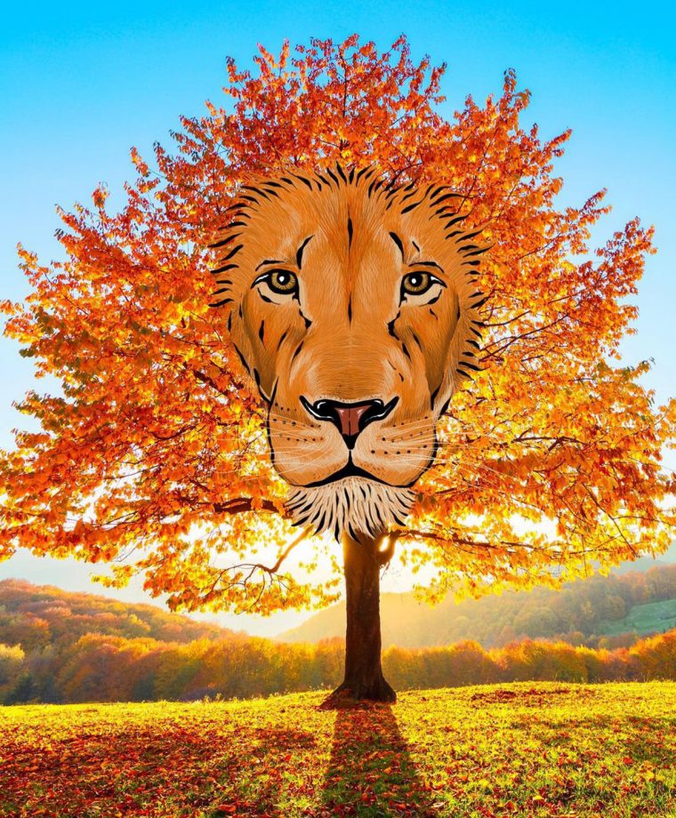 Robin Yayla détourne ses photos de voyage avec des illustrations créatives