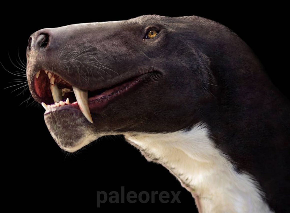 L'artiste Paleorex crée des visualisations 3D réalistes de dinosaures ...