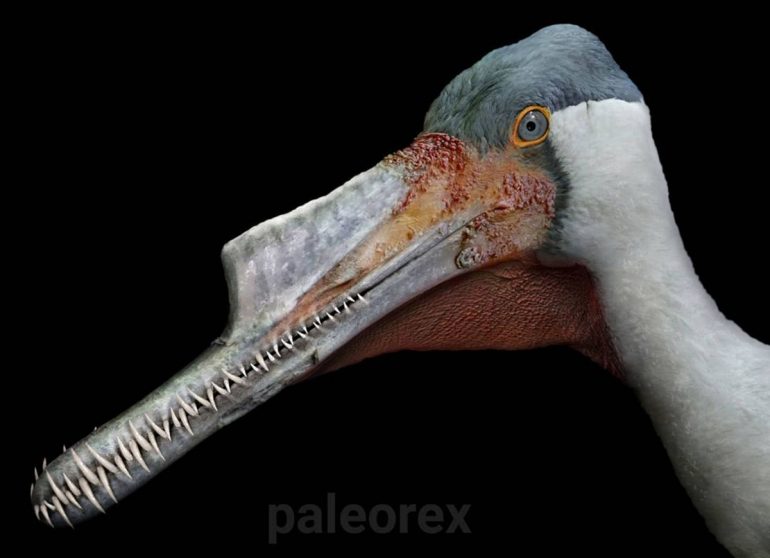 L'artiste Paleorex crée des visualisations 3D réalistes de dinosaures