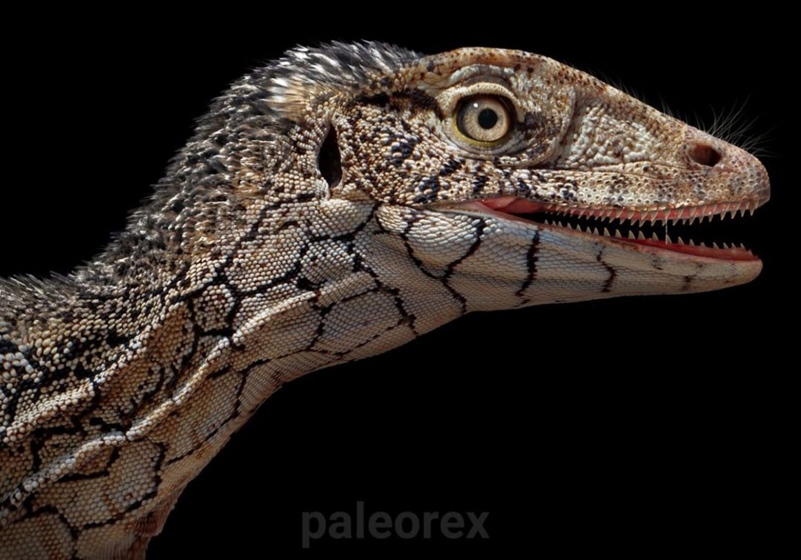 L'artiste Paleorex crée des visualisations 3D réalistes de dinosaures