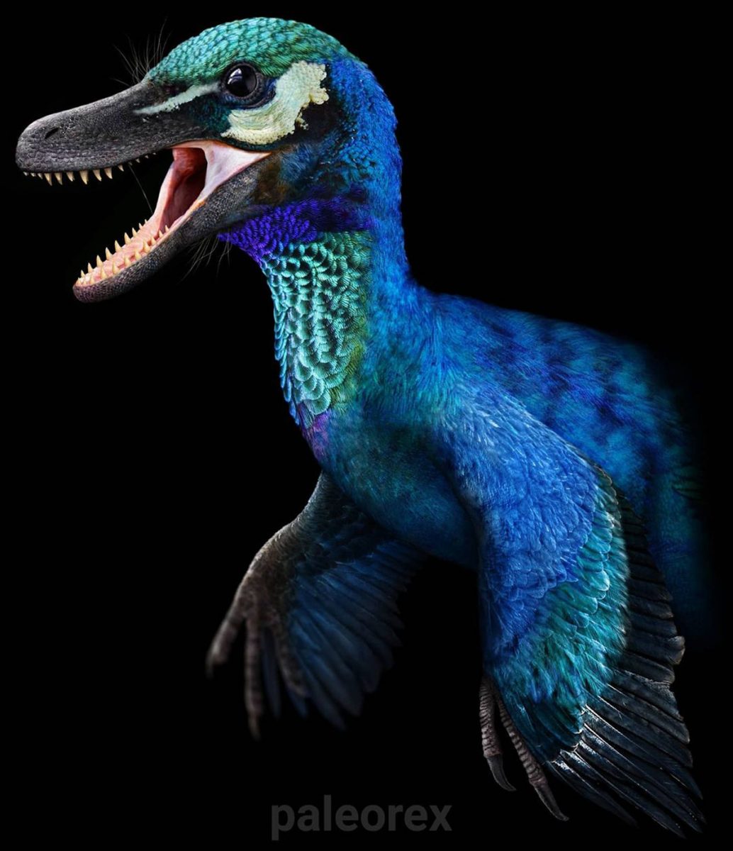 L'artiste Paleorex crée des visualisations 3D réalistes de dinosaures