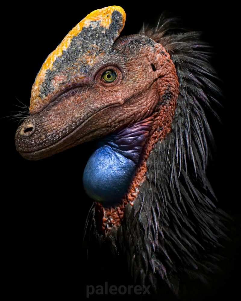 L'artiste Paleorex crée des visualisations 3D réalistes de dinosaures