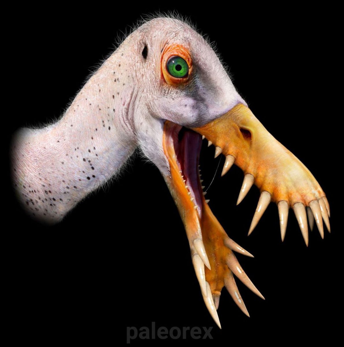 L'artiste Paleorex crée des visualisations 3D réalistes de dinosaures ...