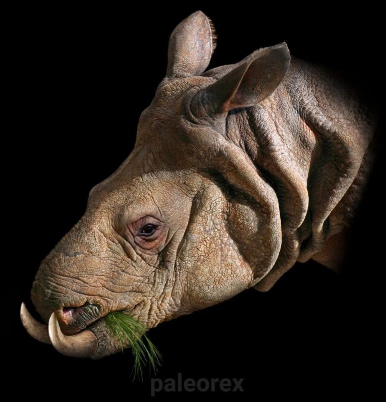 L'artiste Paleorex crée des visualisations 3D réalistes de dinosaures