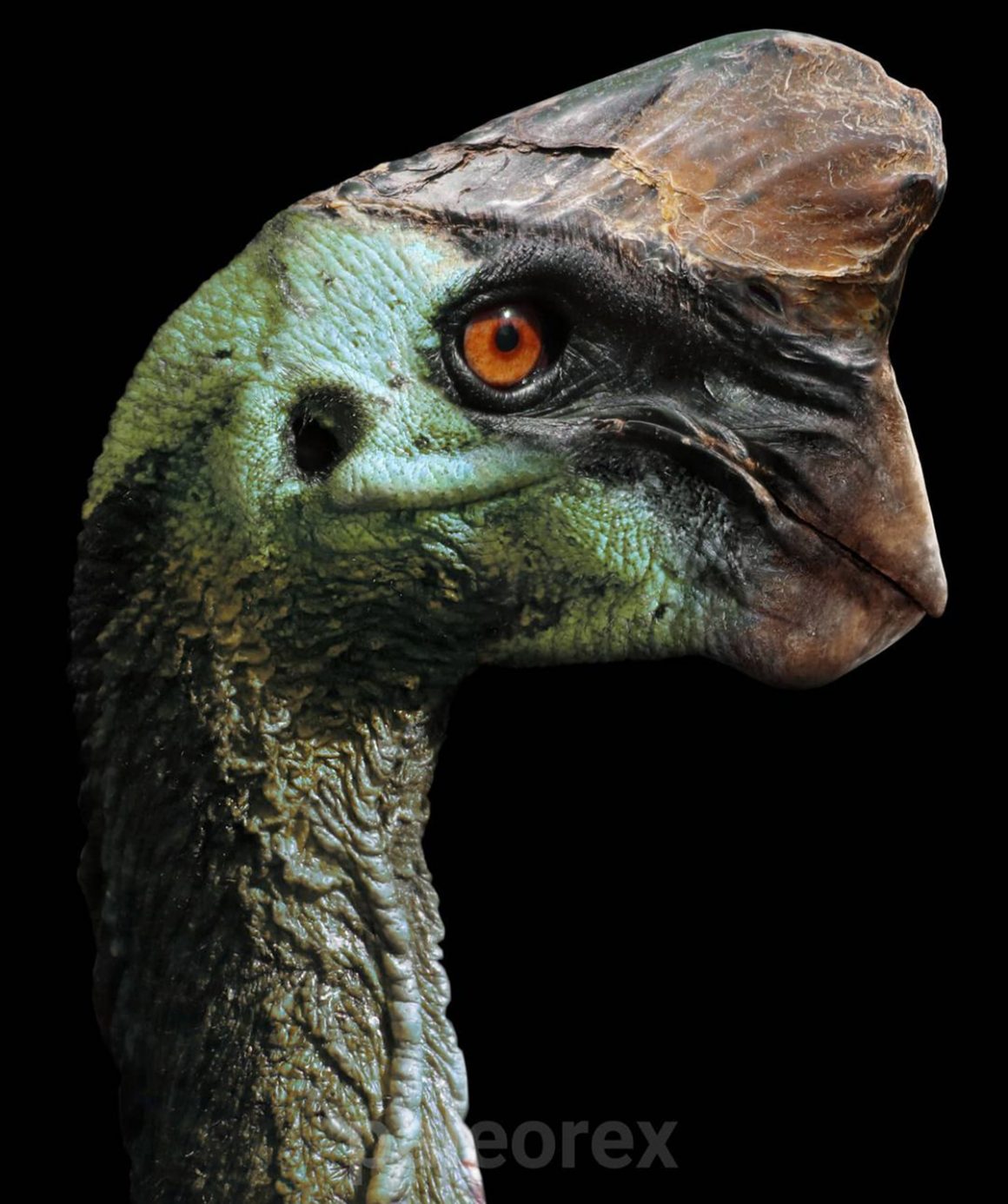 L'artiste Paleorex crée des visualisations 3D réalistes de dinosaures ...