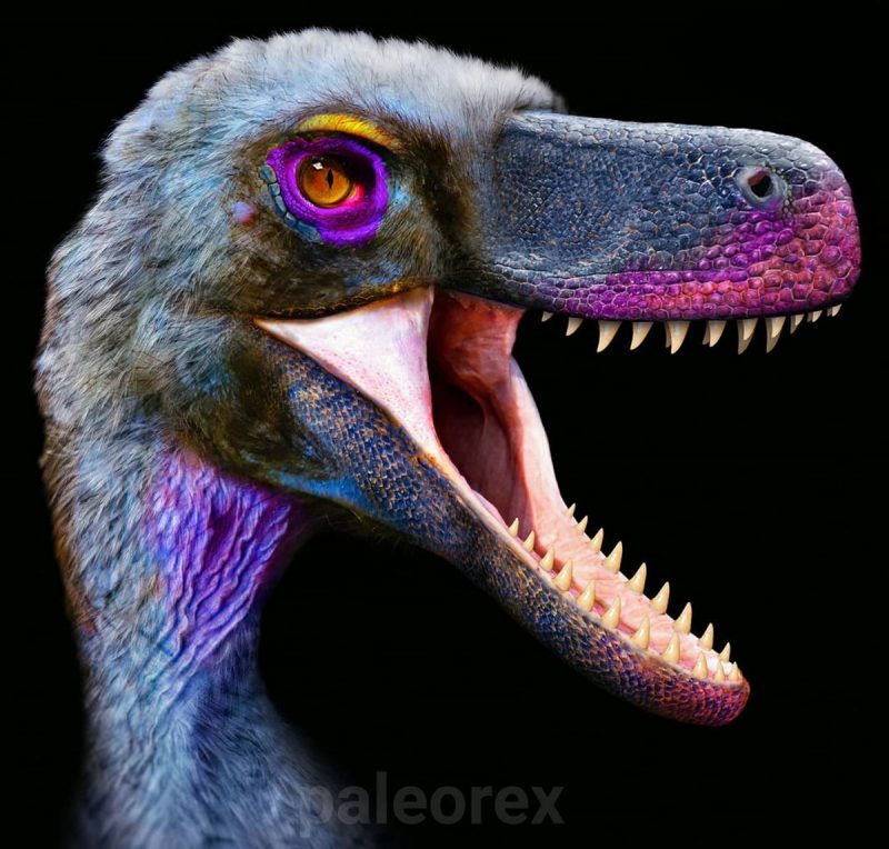 L'artiste Paleorex crée des visualisations 3D réalistes de dinosaures