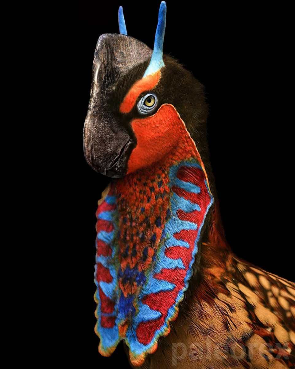 L'artiste Paleorex crée des visualisations 3D réalistes de dinosaures