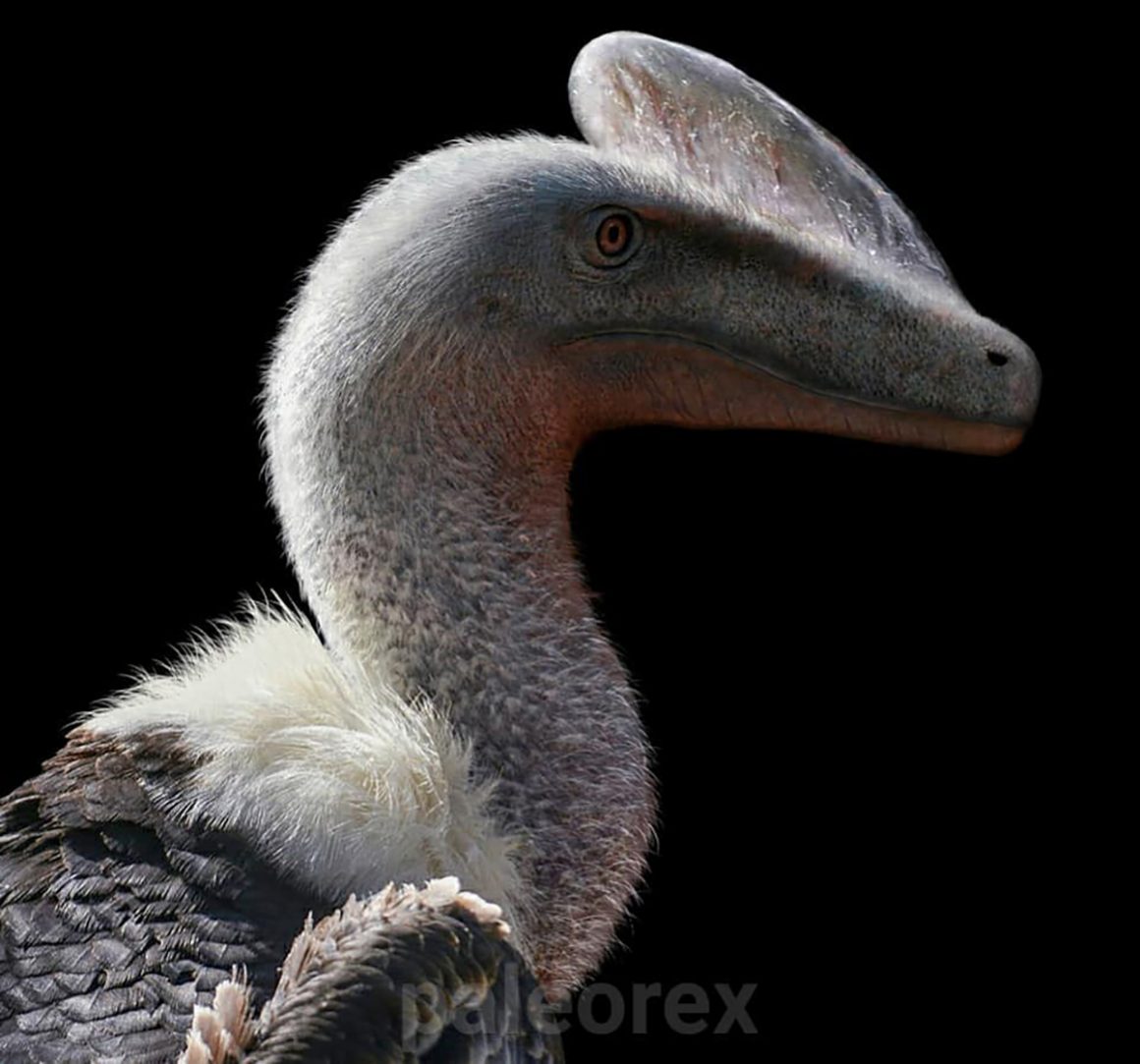 L'artiste Paleorex crée des visualisations 3D réalistes de dinosaures