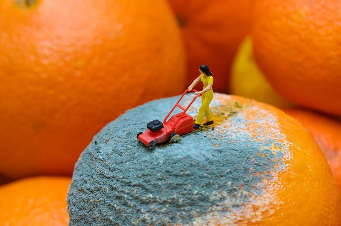Peter Csakvari joue avec des objets du quotidien pour créer des mondes ...